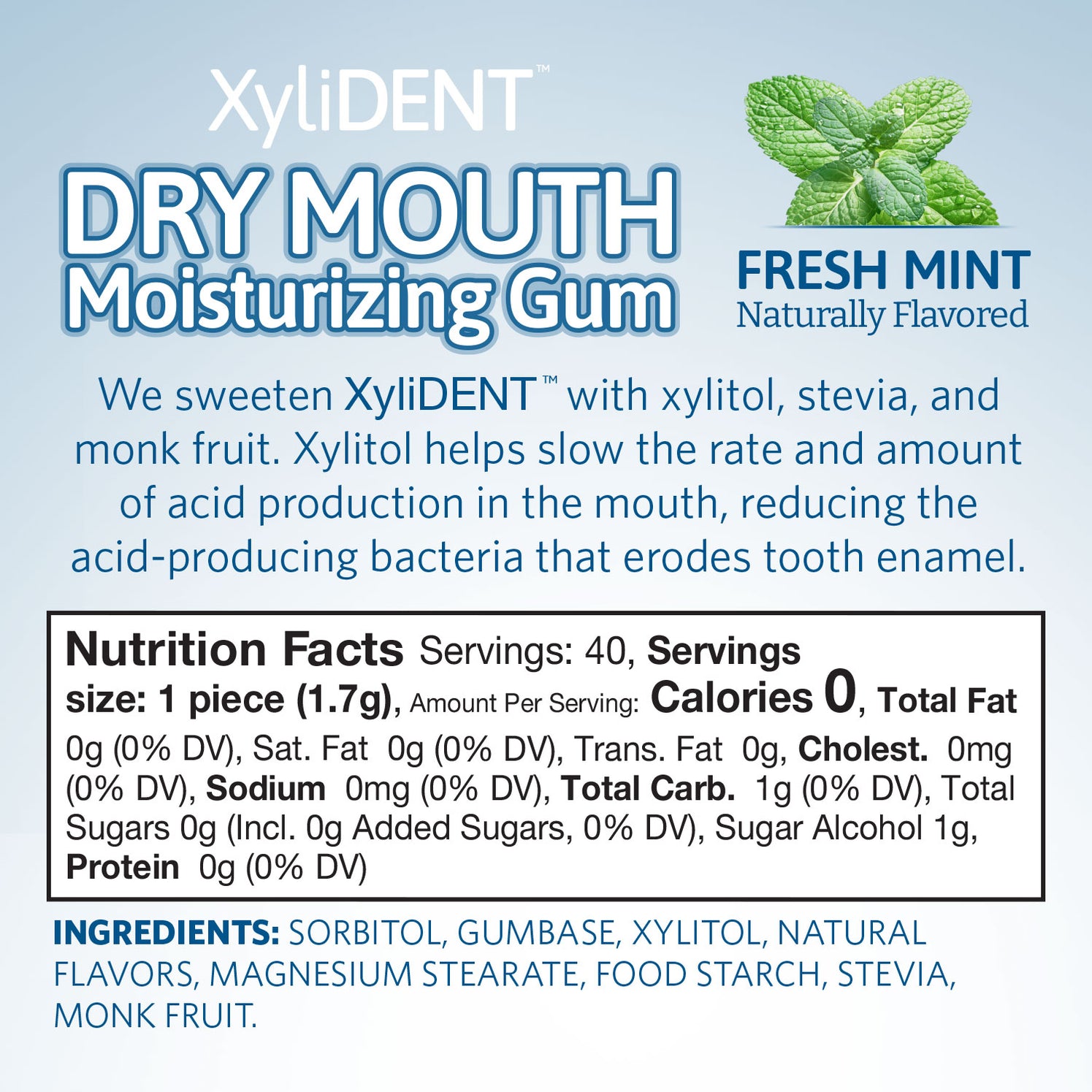 Dry Mouth Gum with Xylitol, Stevia, Monk Fruit | XyliDENT